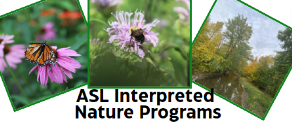 News | Michigan School for the Deaf